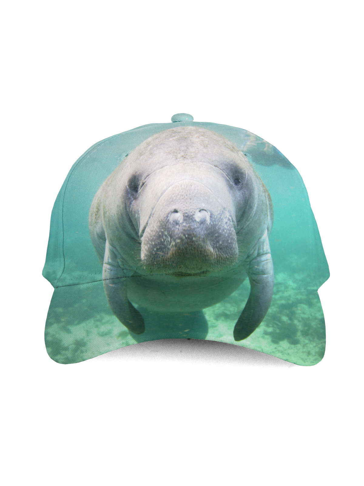 Manatee Kids Cap | Brief Insanity