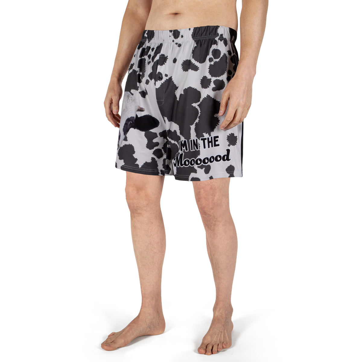 I'm In The Mood Boxer Shorts | Brief Insanity | Brief Insanity