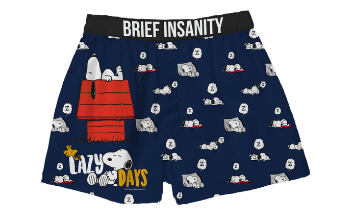 Snoopy and Friends Pajama Pants and More | Brief Insanity